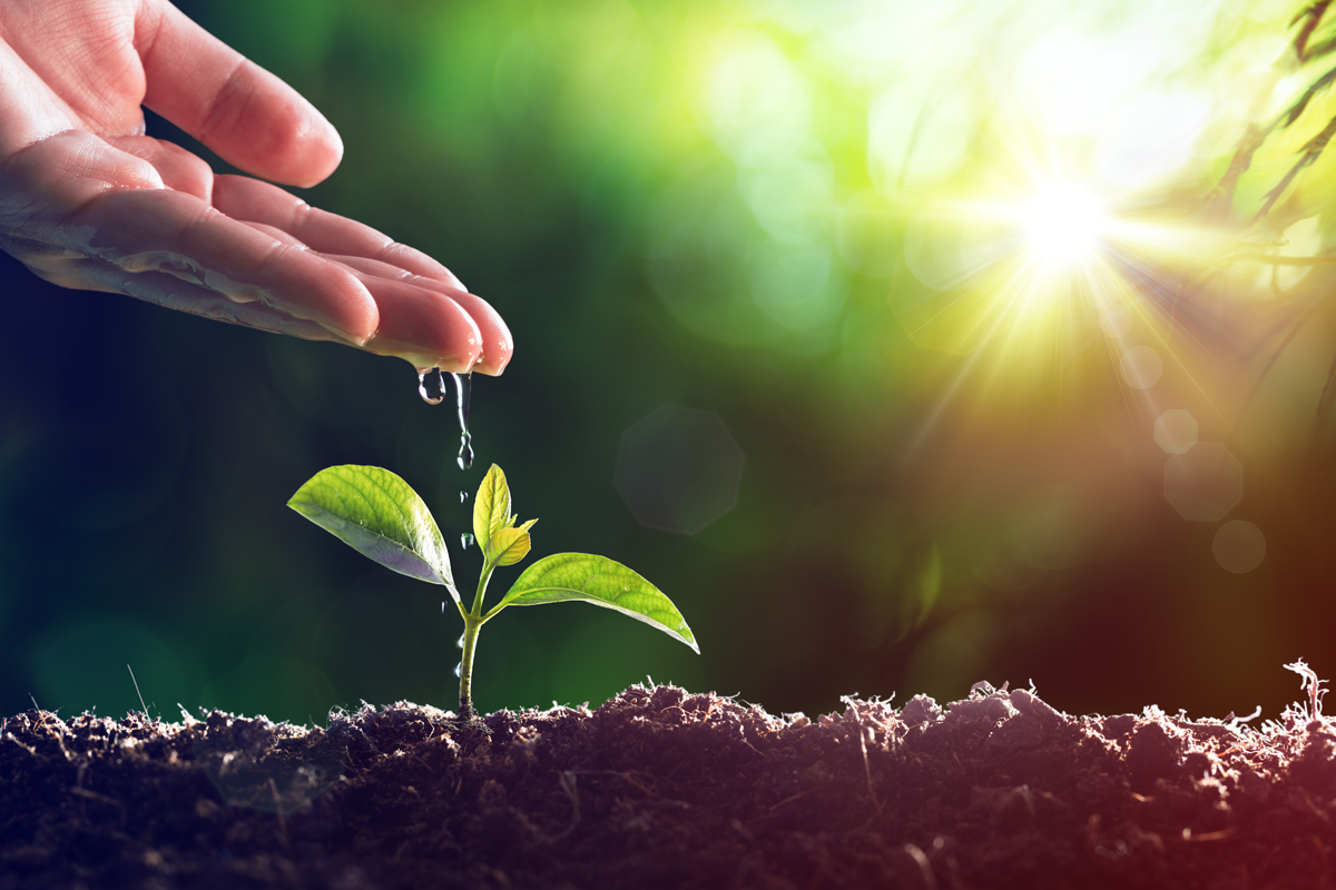 Konica Minolta to Achieve the Carbon Minus Goal in 2030, Ahead of the ...