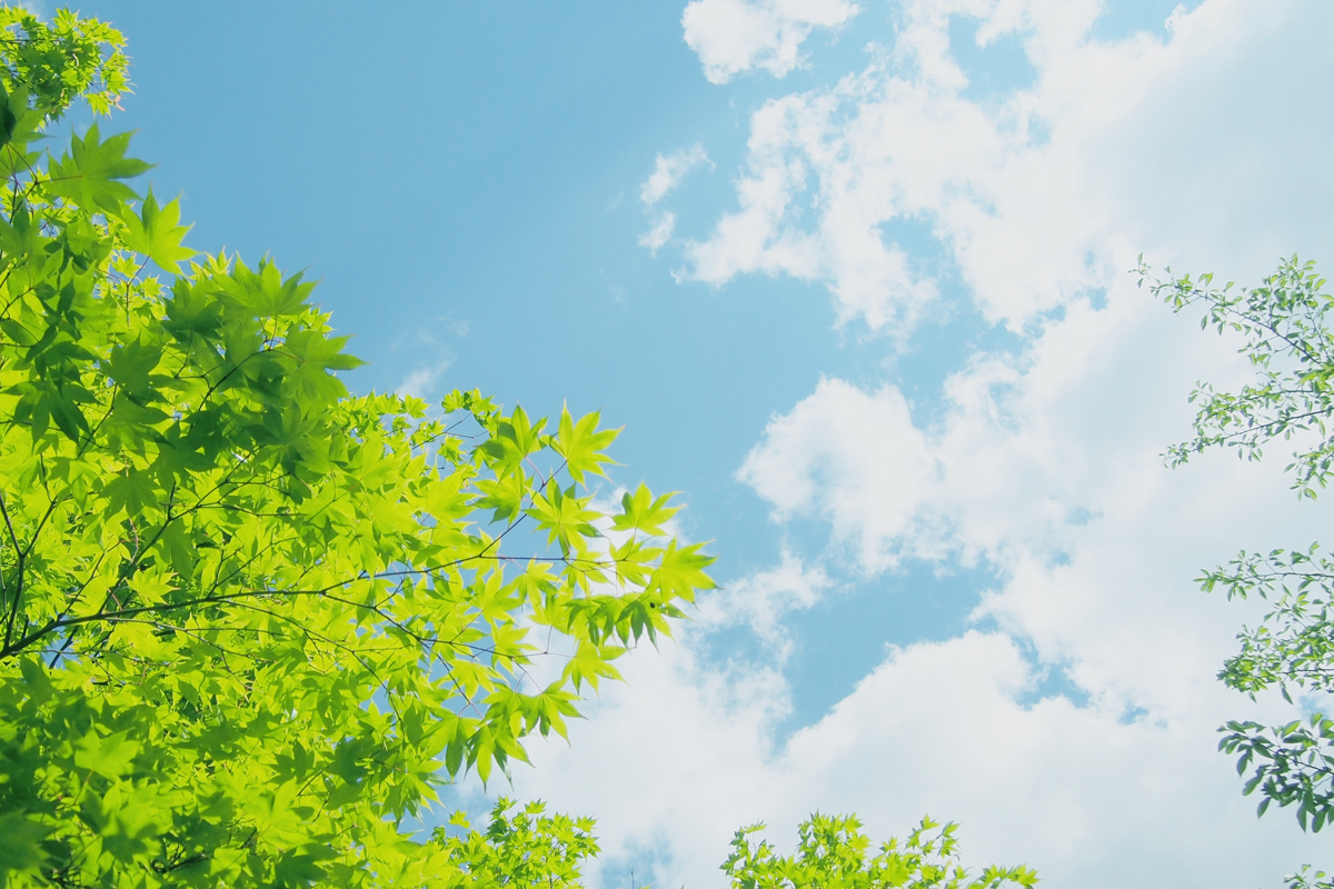 Konica Minolta’s Environmental Digital Platform Increases Its ...